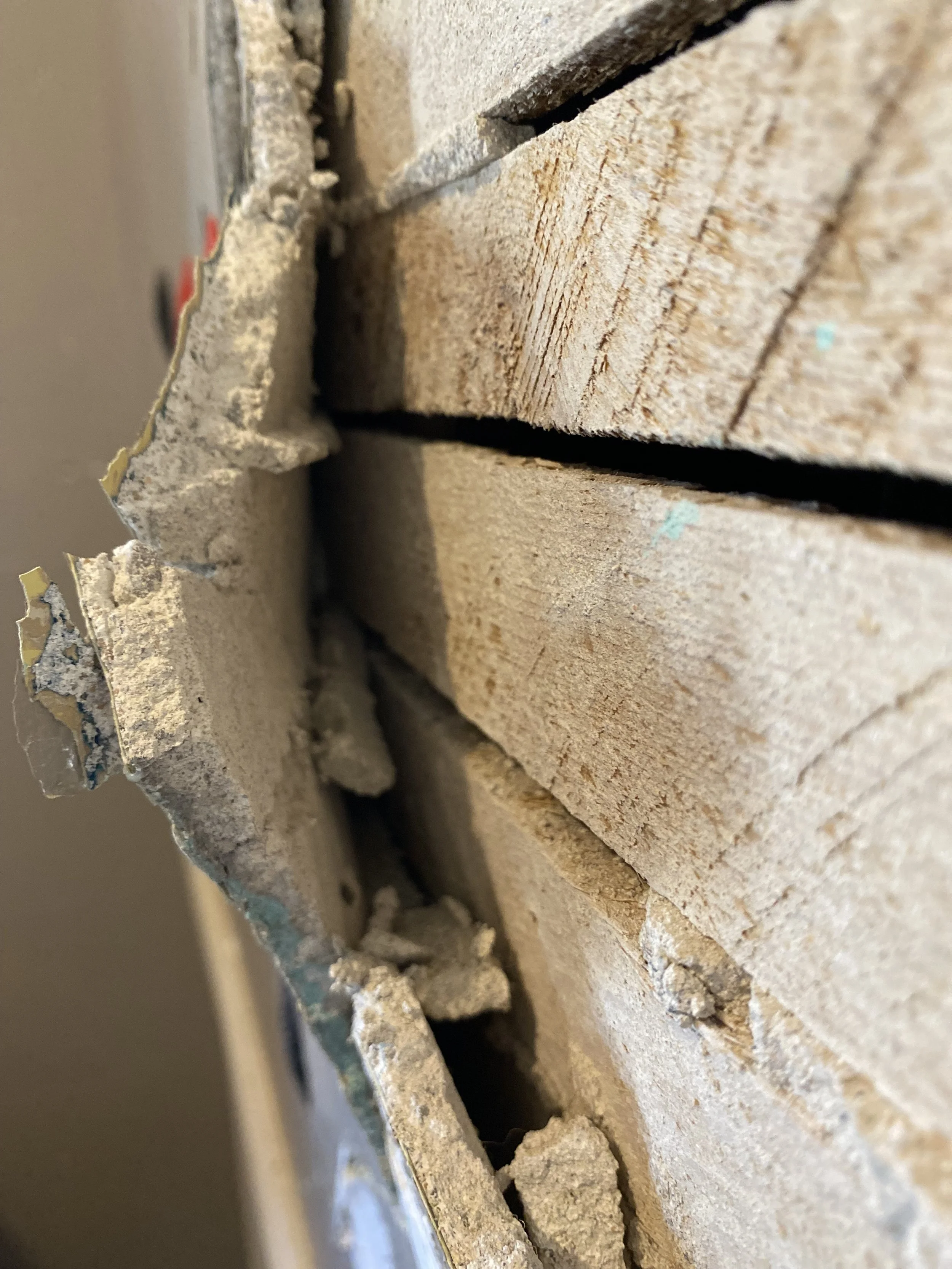 With Persistence and Plaster Magic, Beth Rimas Is Restoring her Home ...