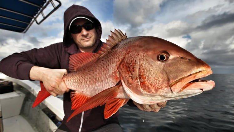 Gallery — Fortuna Sportfishing