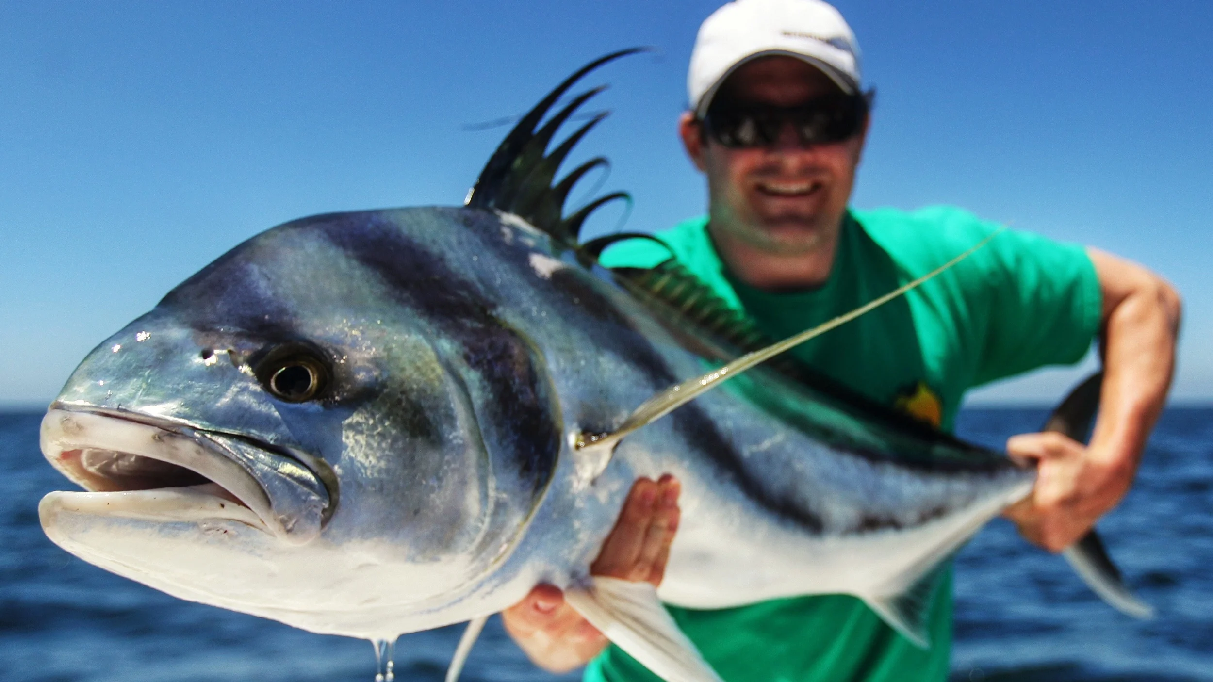 Gallery — Fortuna Sportfishing