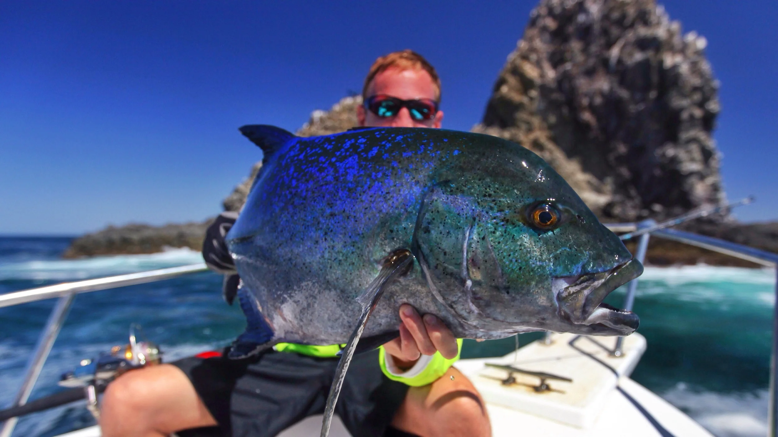 Gallery — Fortuna Sportfishing