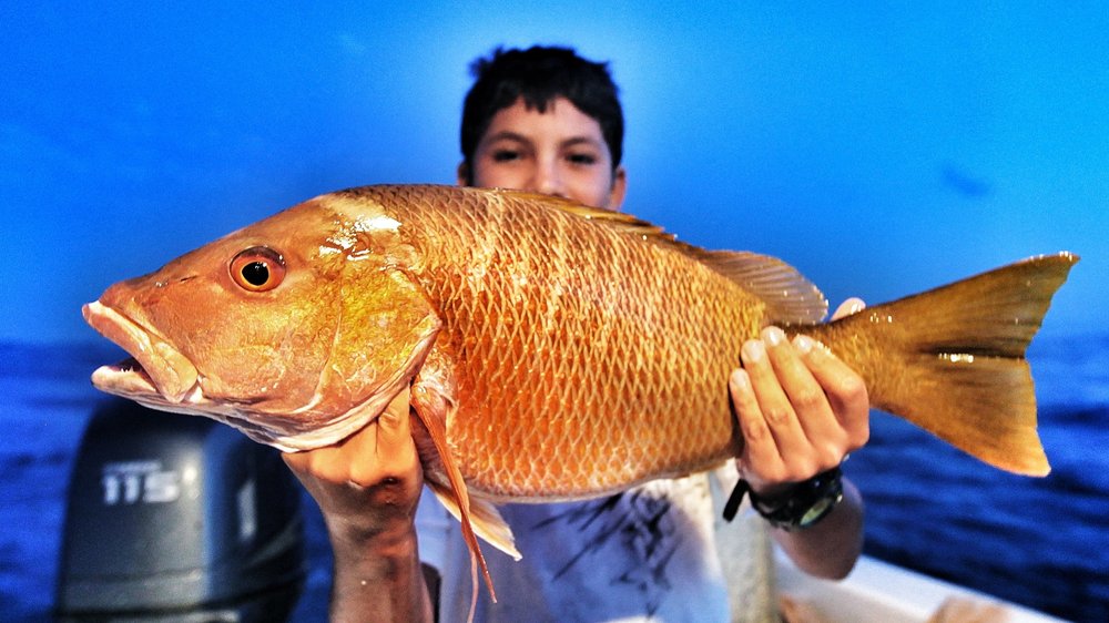 Gallery — Fortuna Sportfishing