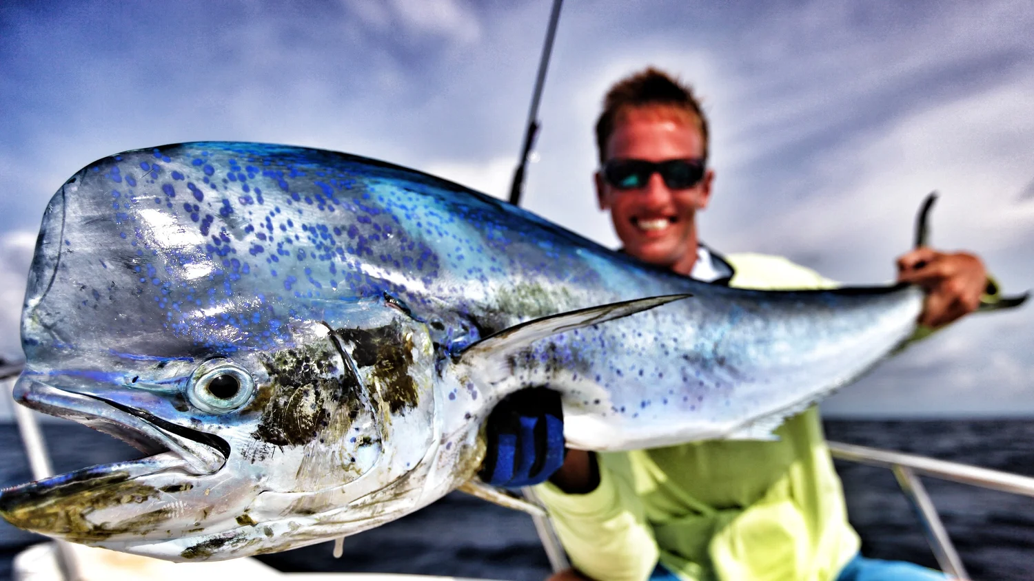 Gallery — Fortuna Sportfishing