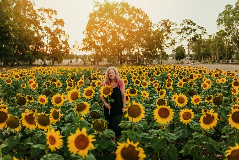 Sunflower Fields Near Brisbane | Best Flower Site