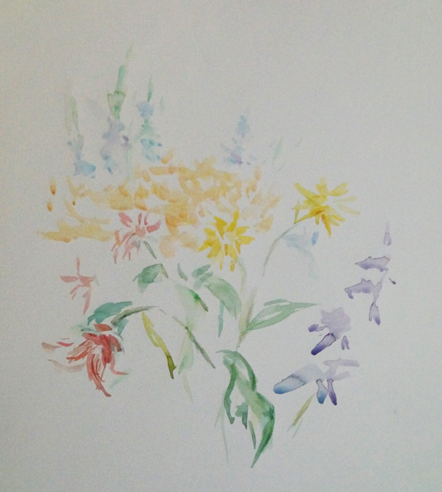 Flora and Fauna — Elizabeth Ivers