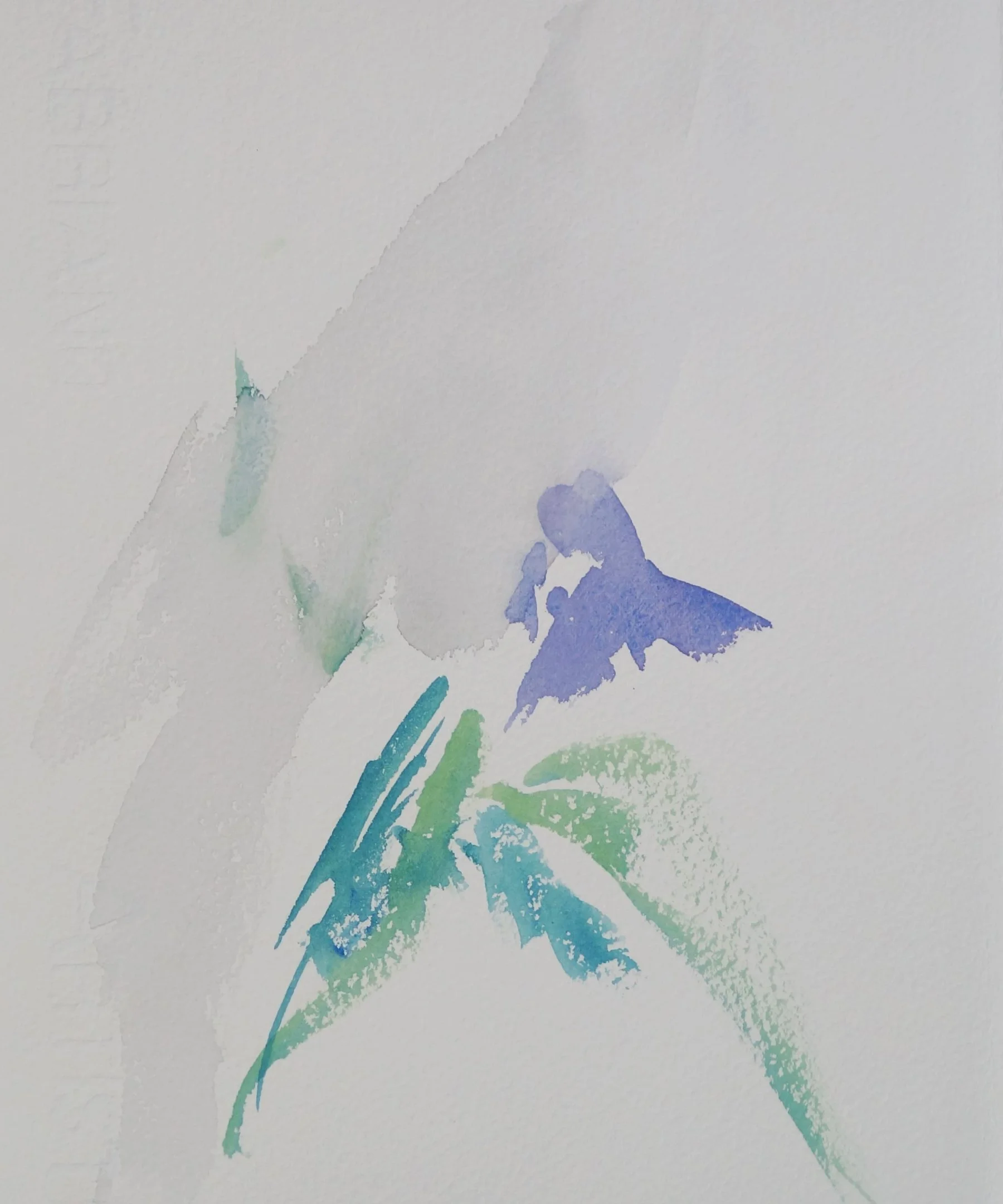 Flora and Fauna — Elizabeth Ivers