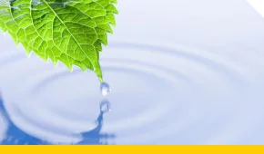 TERRALIFT — Terralift Fertiliser Homepage