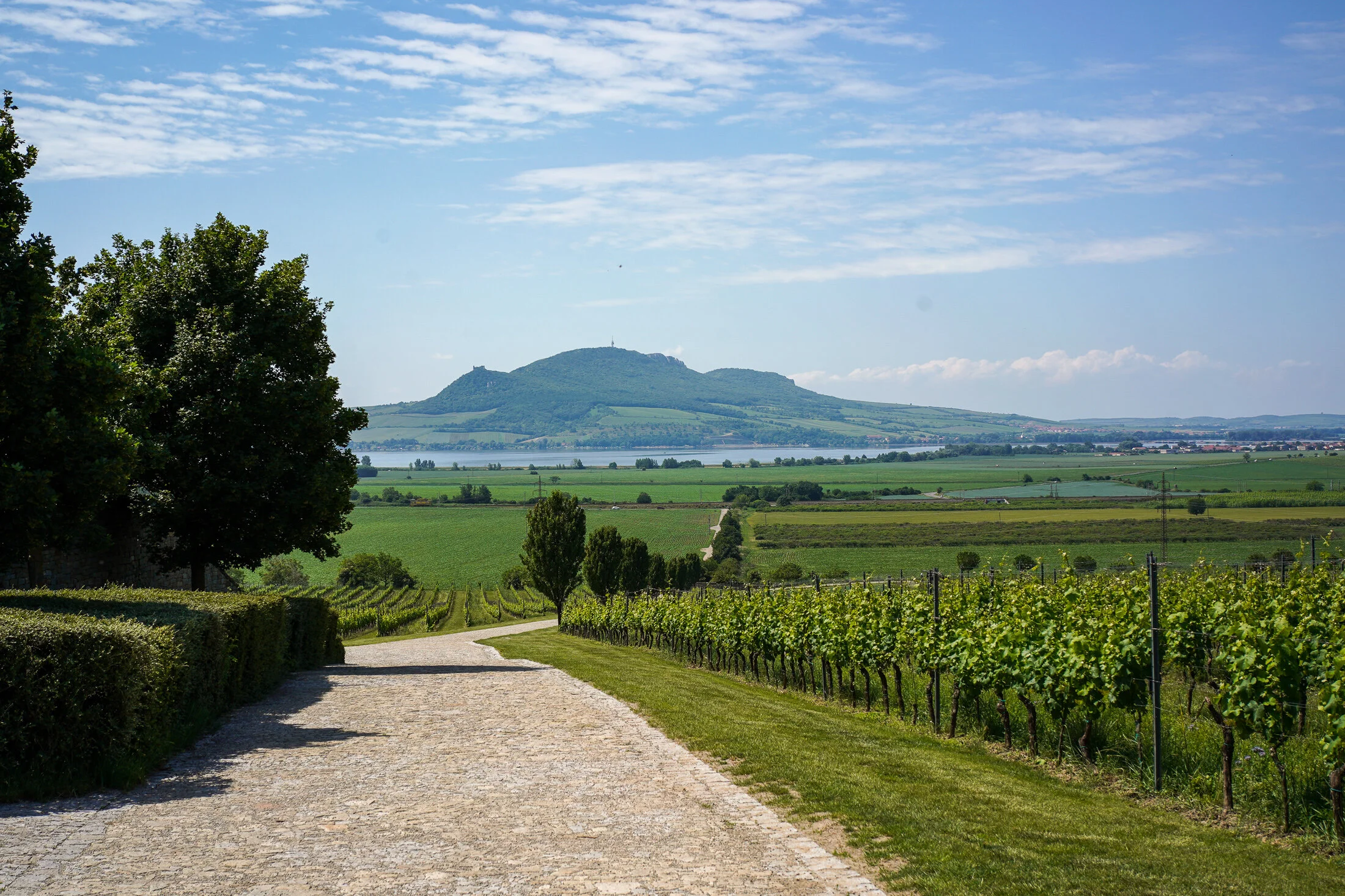 Wine Tours in Moravia — Prague Food Tour | Original since 2011 | Taste ...