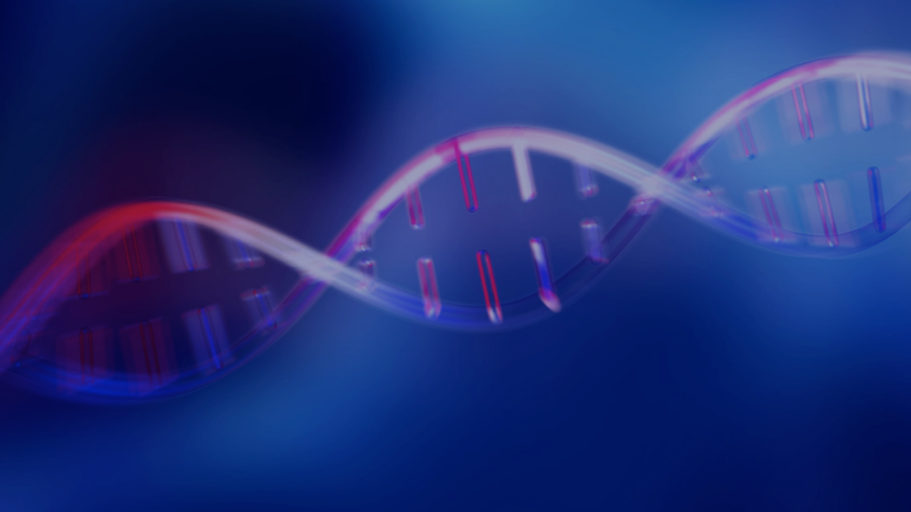 Our people — Genostics