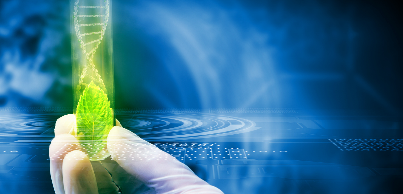 Conferences — Genostics