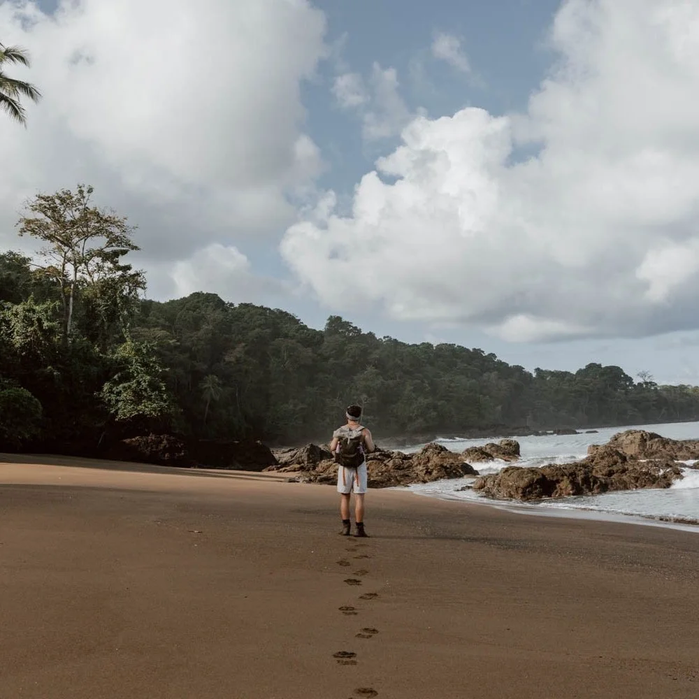13 Wonderful Things To Do in Drake Bay | The Wild Side of Costa Rica ...
