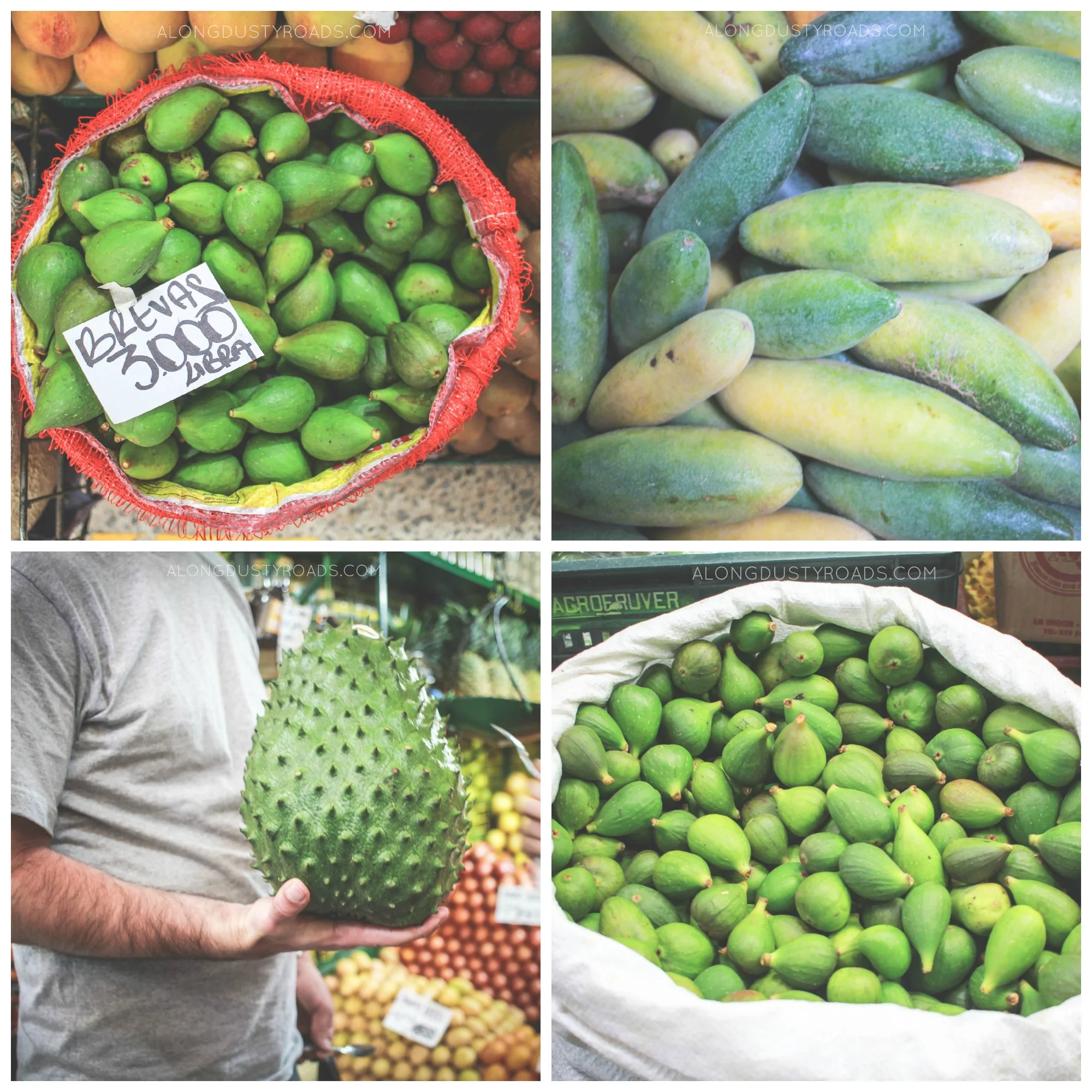 Discovering the Fruits of Colombia at Minorista Market — ALONG DUSTY ROADS