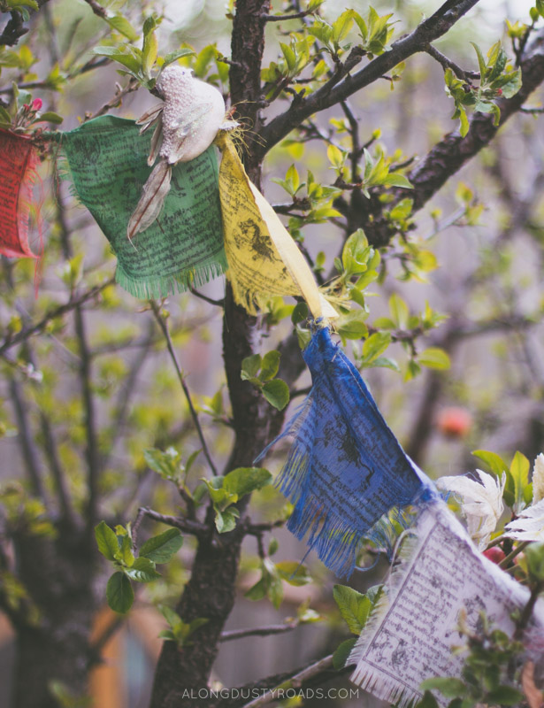 Escaping the Patagonian Winter at Yagan House — ALONG DUSTY ROADS