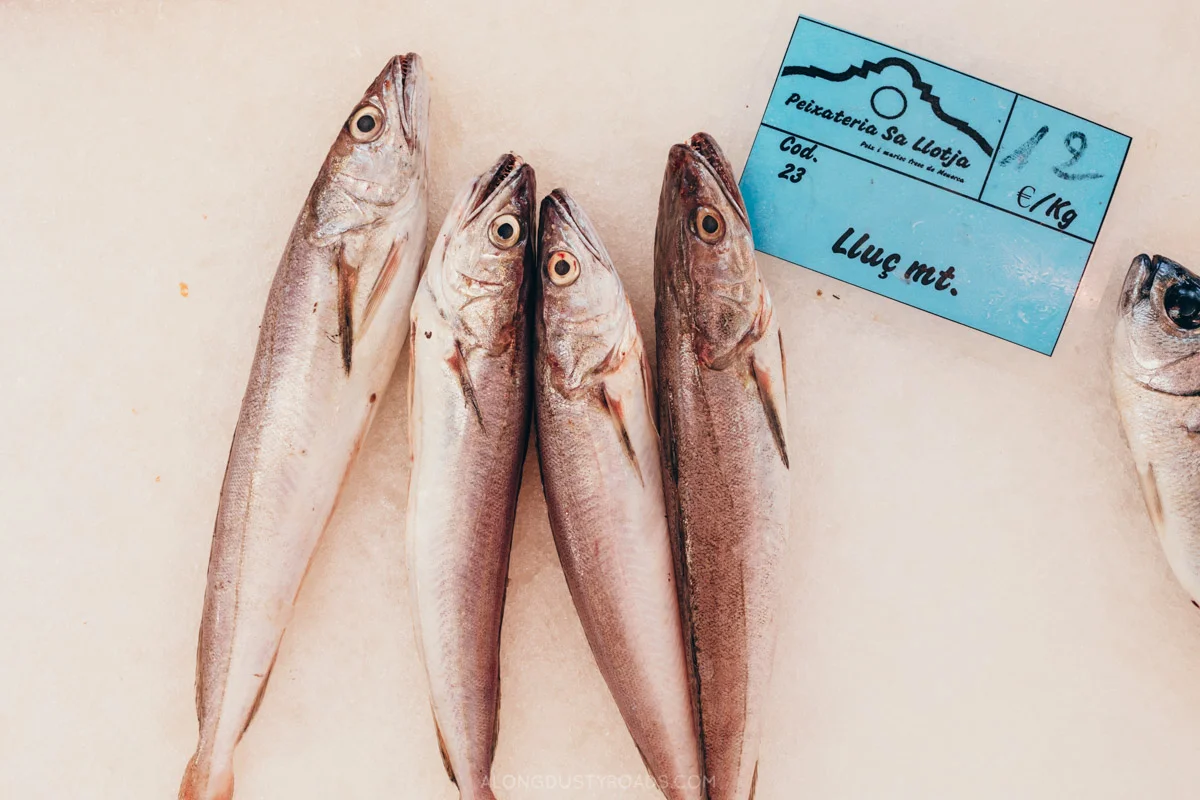 Six Incredible Reasons to Visit Menorca — ALONG DUSTY ROADS