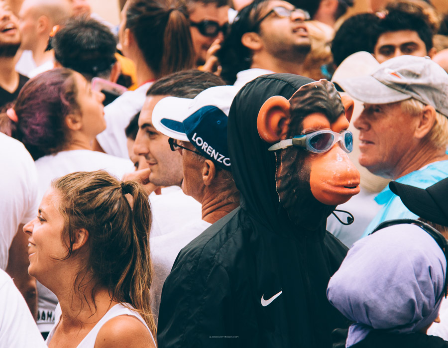 La Tomatina Festival: A Survival Guide — ALONG DUSTY ROADS