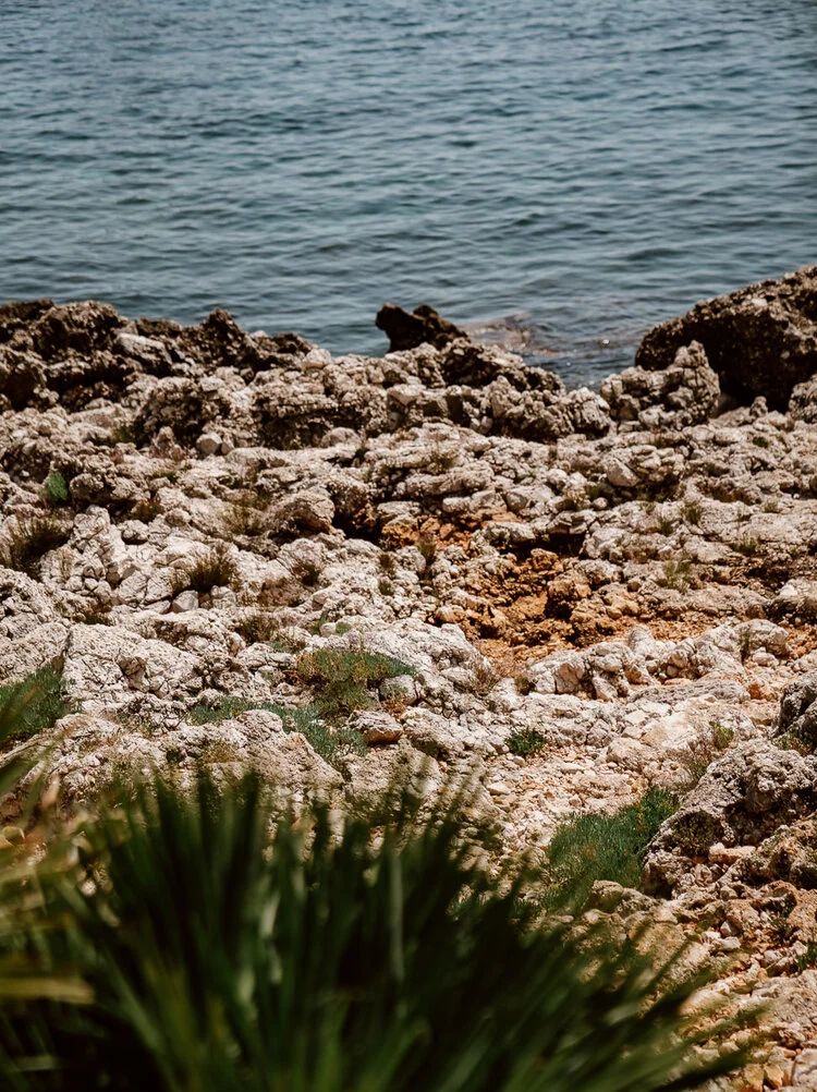 Our Hiking Guide to Lo Zingaro Nature Reserve (and Its Best Beaches ...