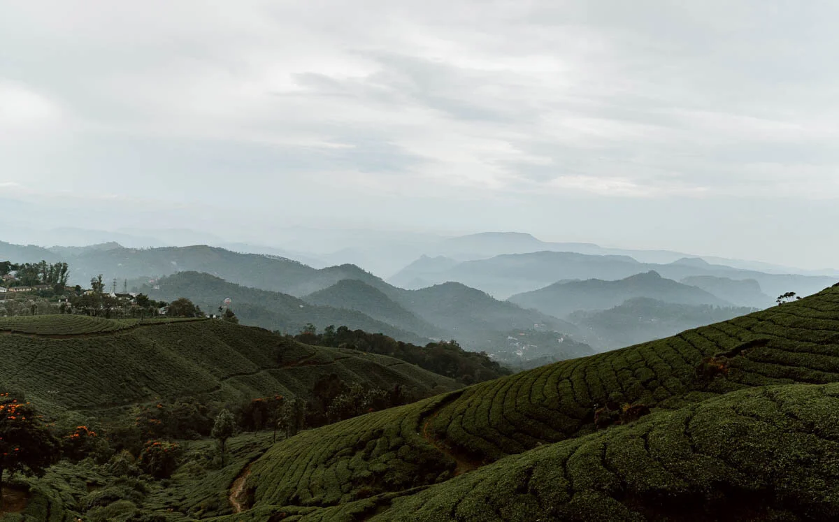 7 Things to Do in Munnar | The Tea Capital of Kerala — ALONG DUSTY ROADS