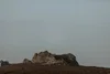 Walking the Stiperstones in Shropshire | A Guide — ALONG DUSTY ROADS