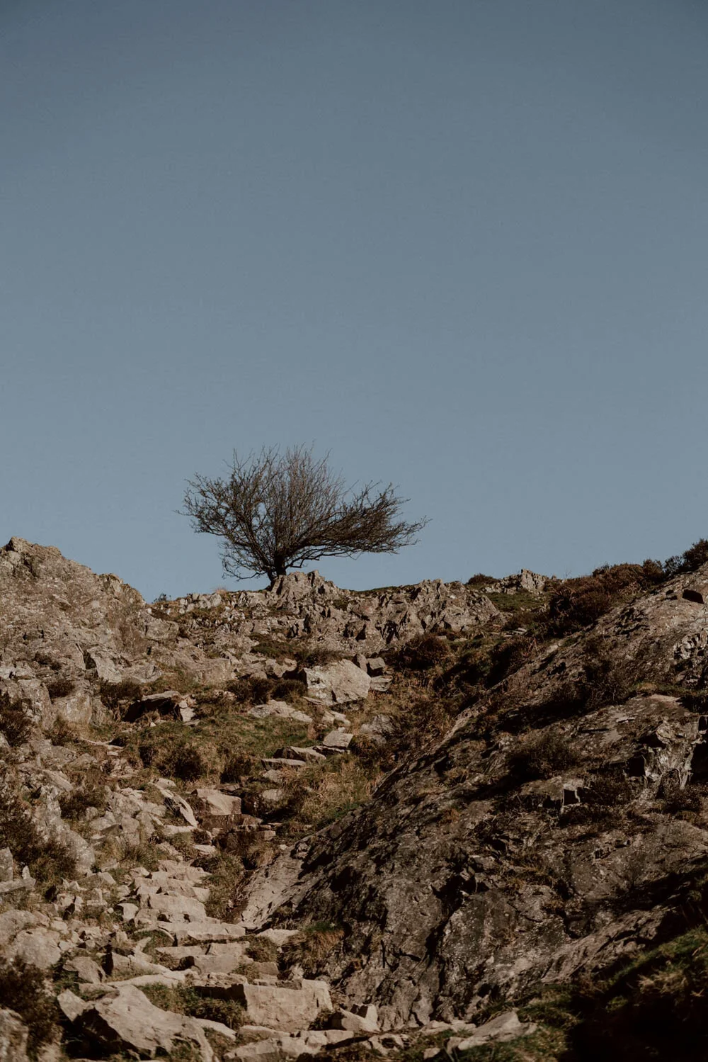 7 Things To Know Before Visiting Carding Mill Valley and the Long Mynd ...