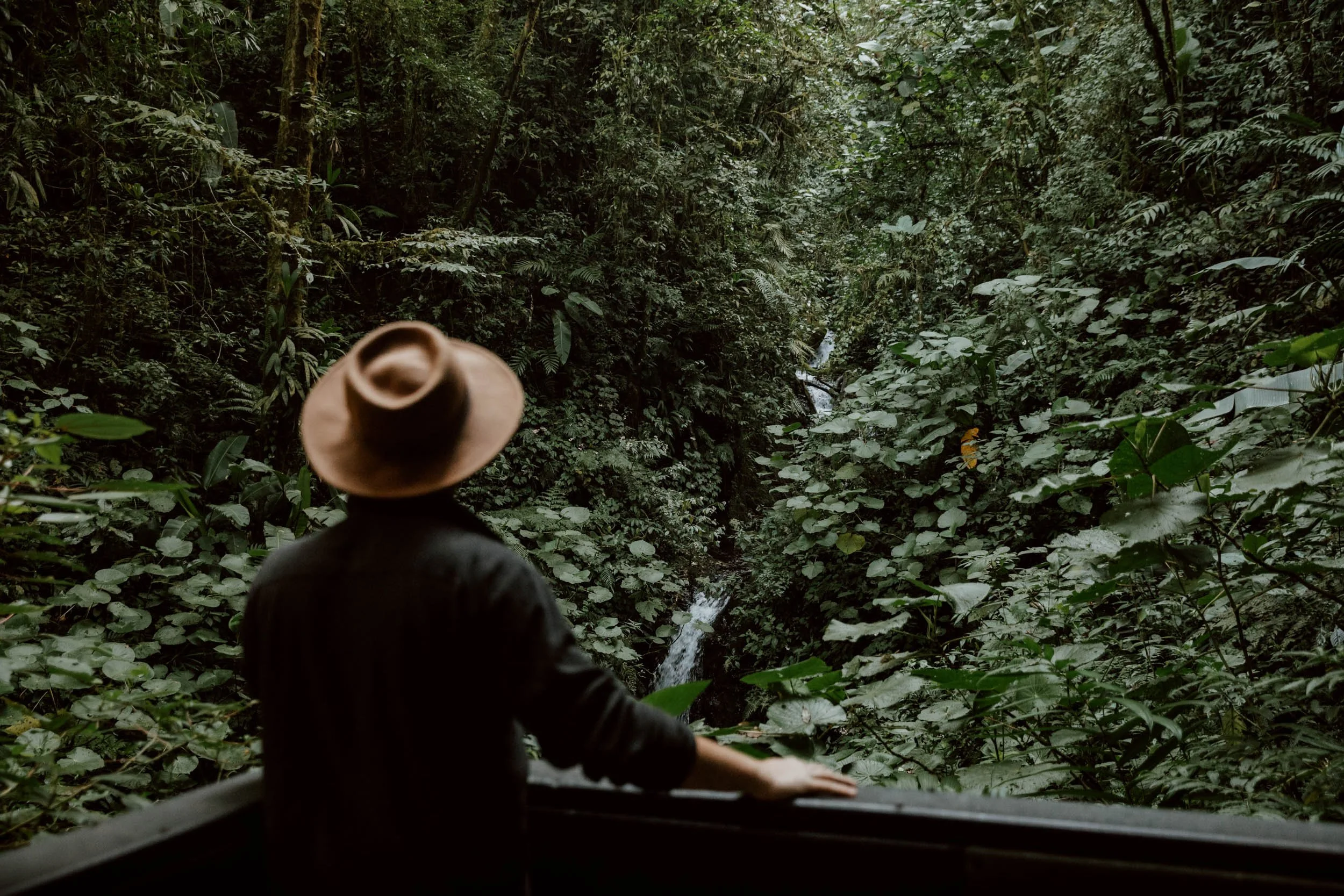 How to Visit Monteverde Cloud Forest, Costa Rica — ALONG DUSTY ROADS