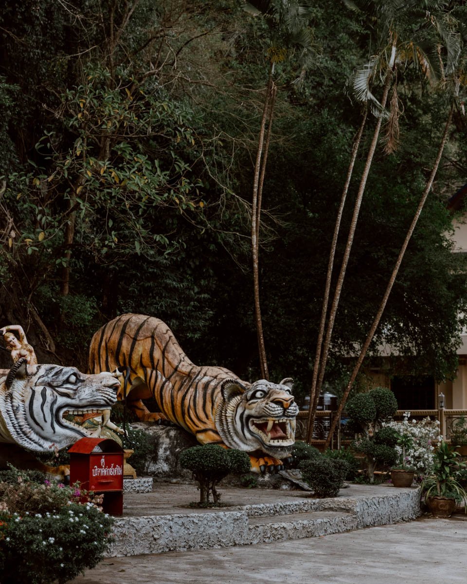 How To Visit The Tiger Cave Temple in Krabi (Wat Tham Suea) — ALONG ...
