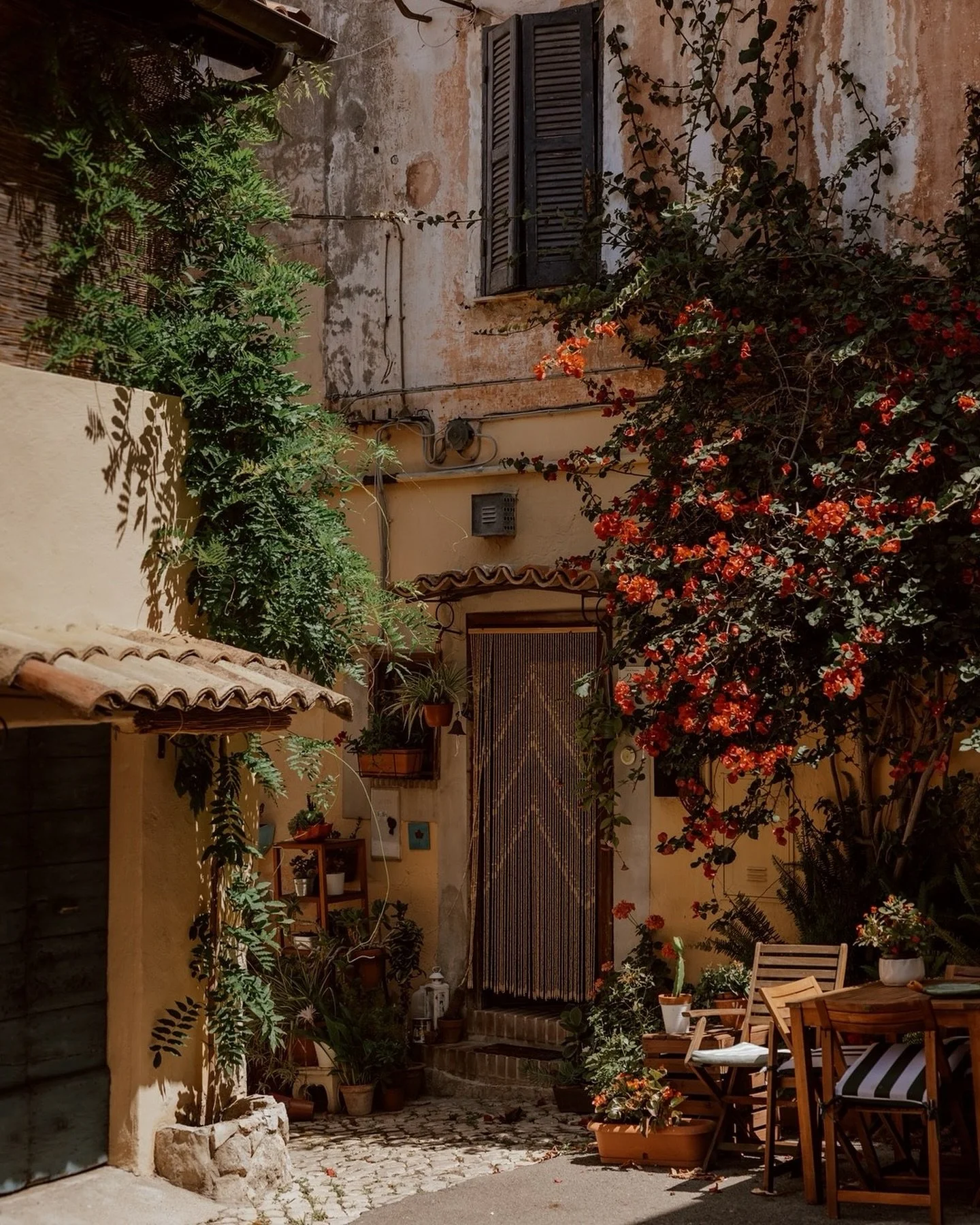 A Guide to Mindo | Ecuador's Town in the Clouds — ALONG DUSTY ROADS