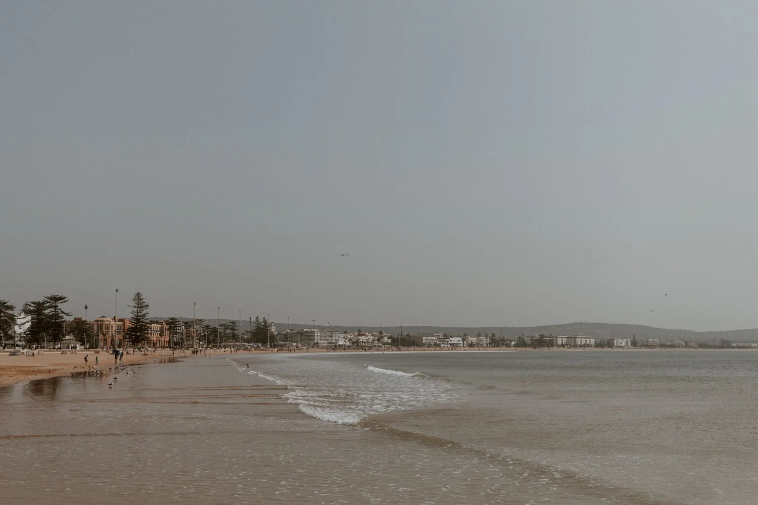The Best Things to Do in Essaouira, Morocco | A Guide to the Windy City ...
