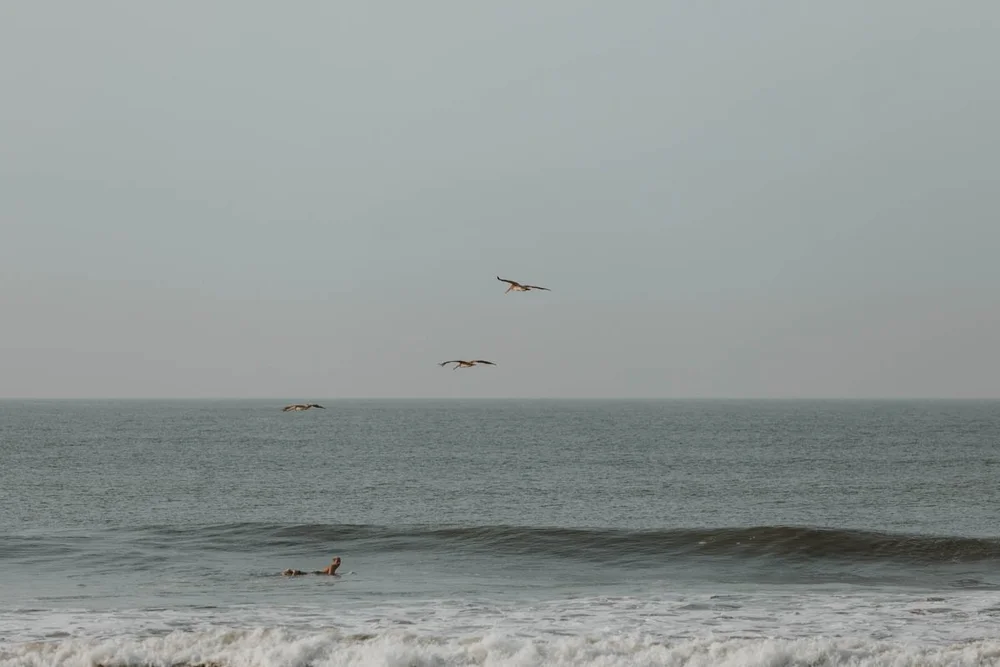 The Best Things to Do in El Paredon | Guatemala's Beach Town — ALONG ...