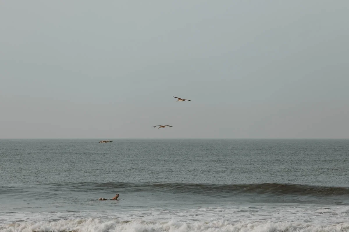 The Best Things to Do in El Paredon | Guatemala's Beach Town — ALONG ...
