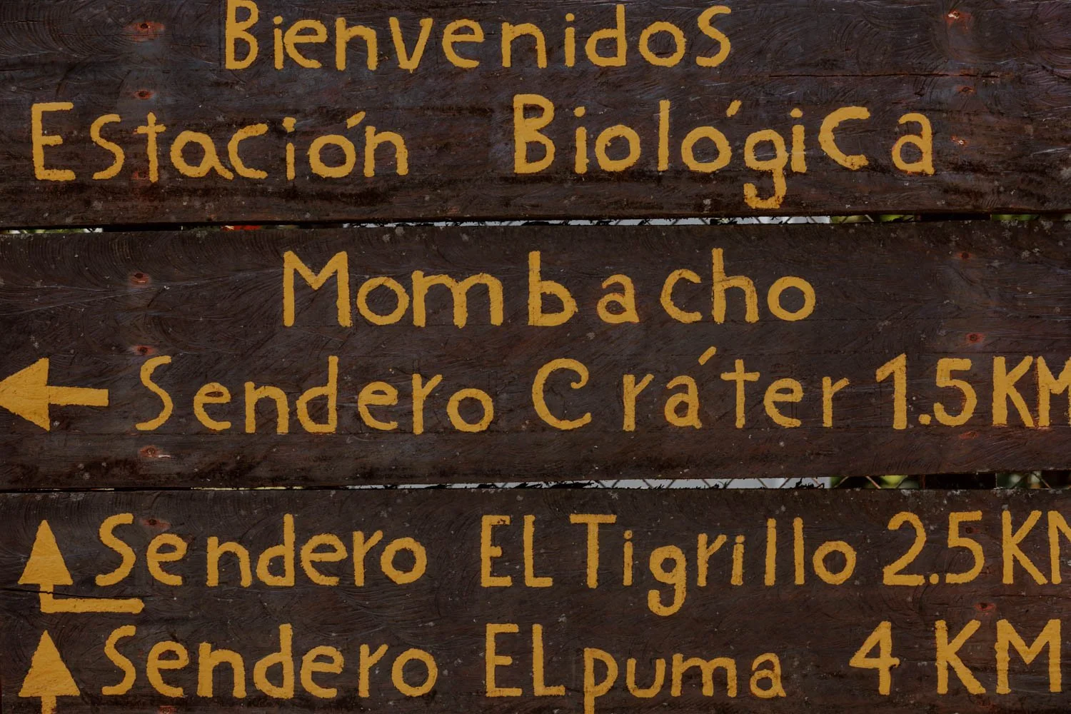 How To Visit Volcan Mombacho | A Complete Guide — ALONG DUSTY ROADS