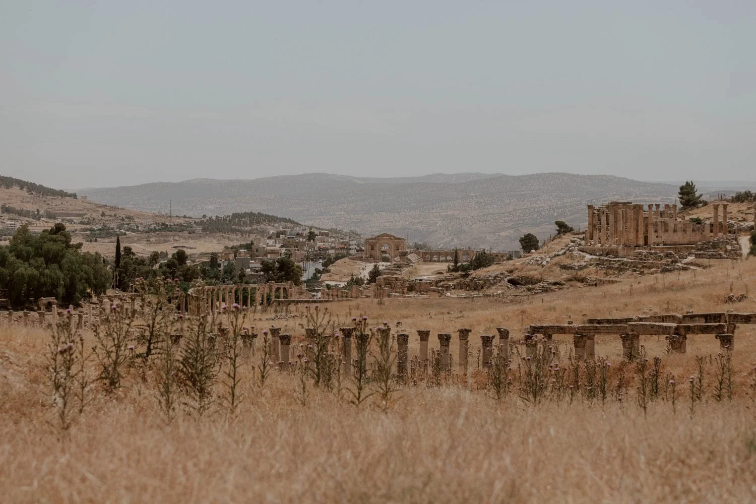 The 9 Best Day Trips From Amman — ALONG DUSTY ROADS