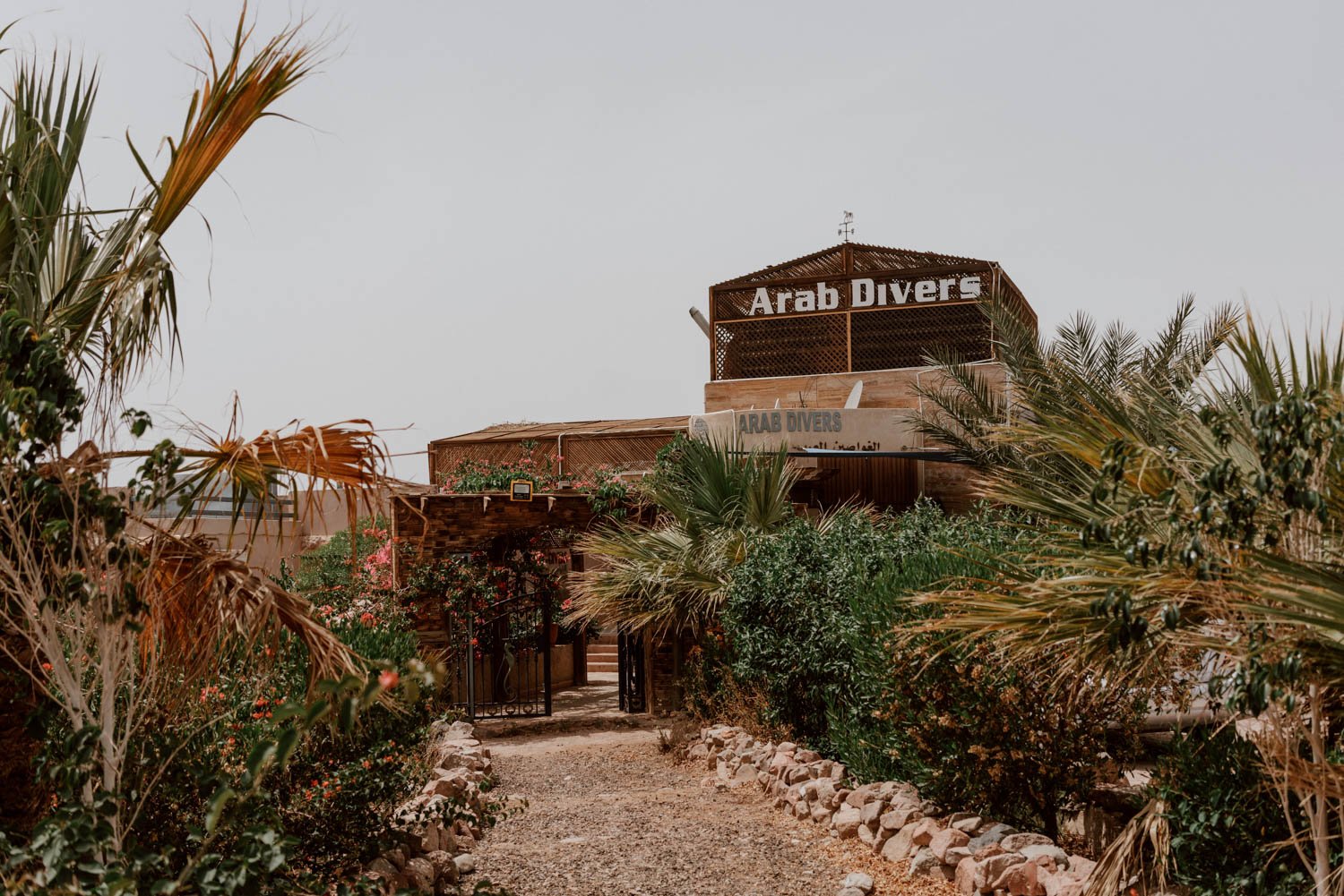 The Best Things to Do in Aqaba | Jordan's Winter Sun Escape — ALONG ...