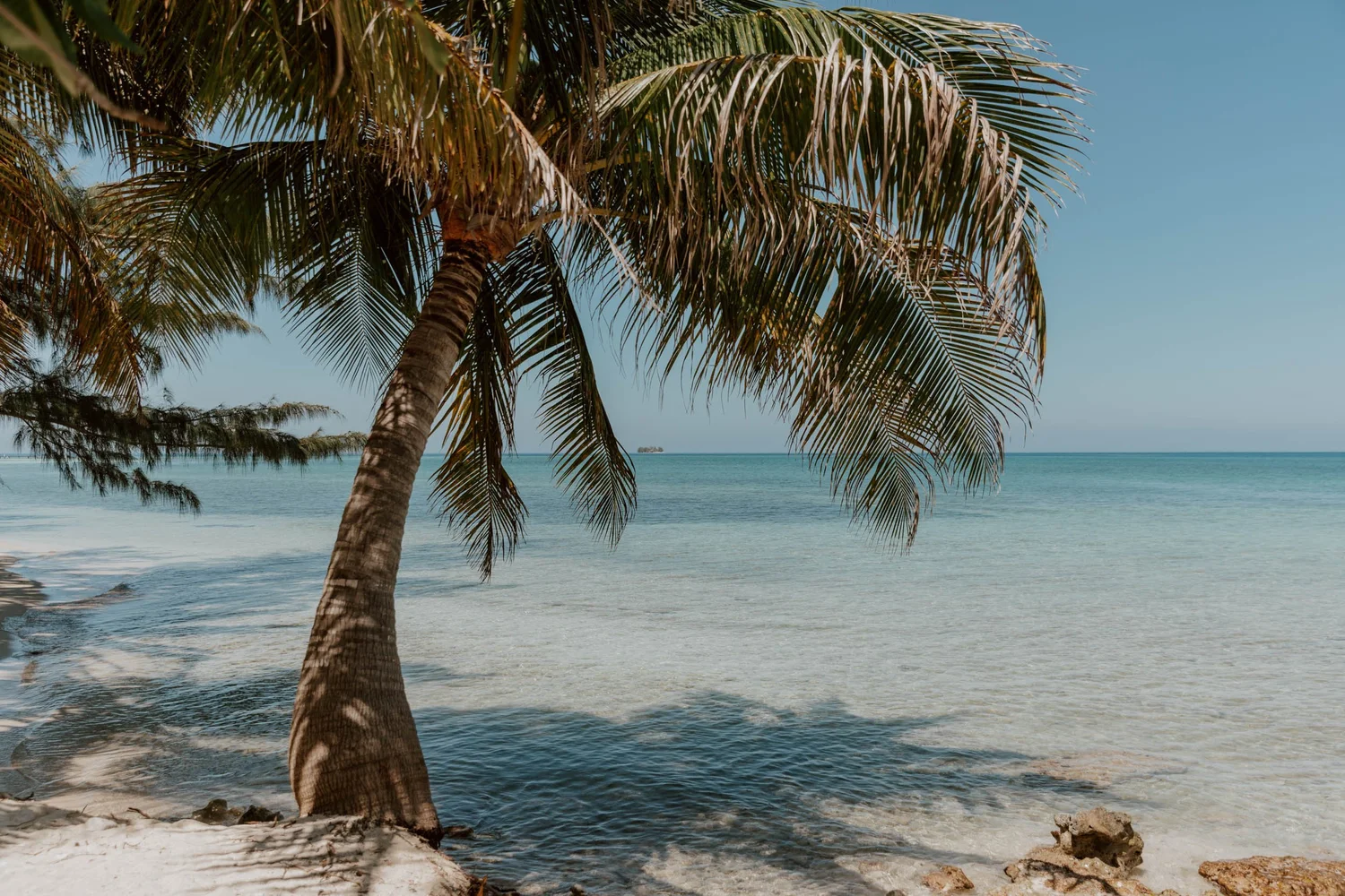 How to Visit Water Cay from Utila — ALONG DUSTY ROADS