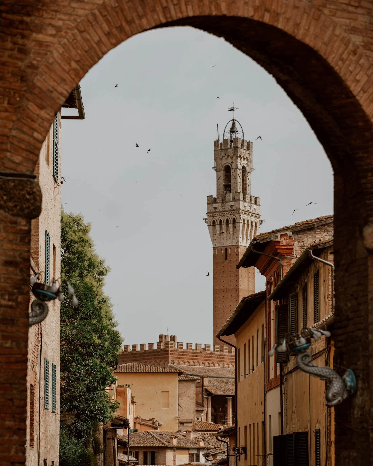 13 Wonderful Things To Do in Siena, Italy | The Medieval Masterpiece ...