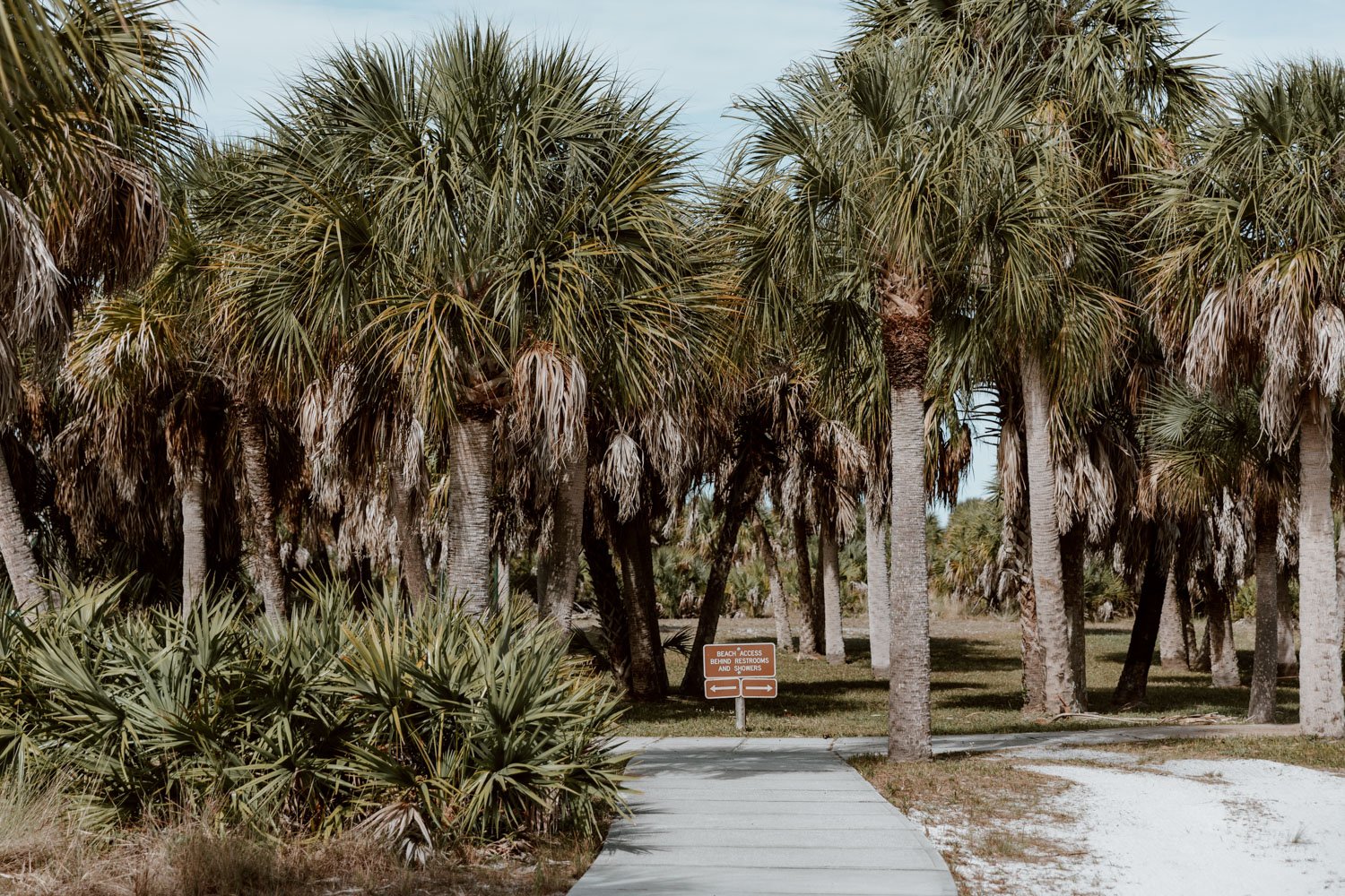A Short Guide to Visiting Caladesi Island | One of Florida's Last ...