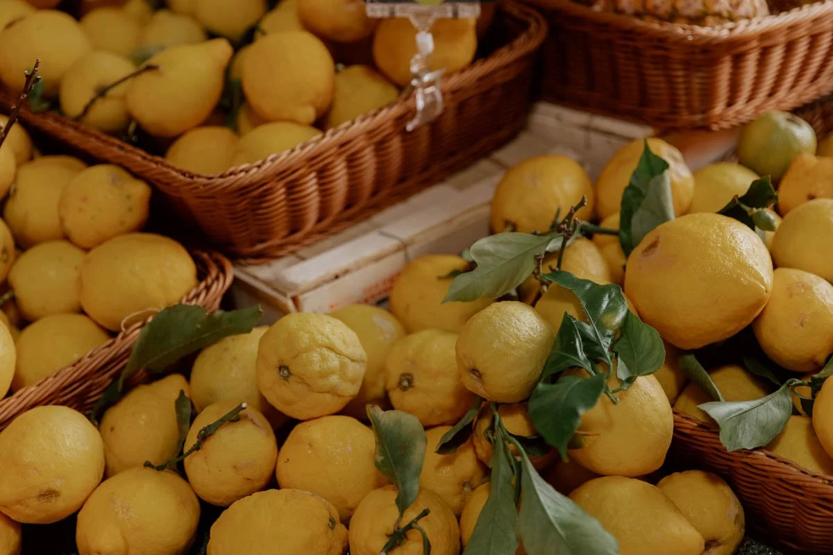 A Curated Guide to Menton, France | The Lemon Town — ALONG DUSTY ROADS