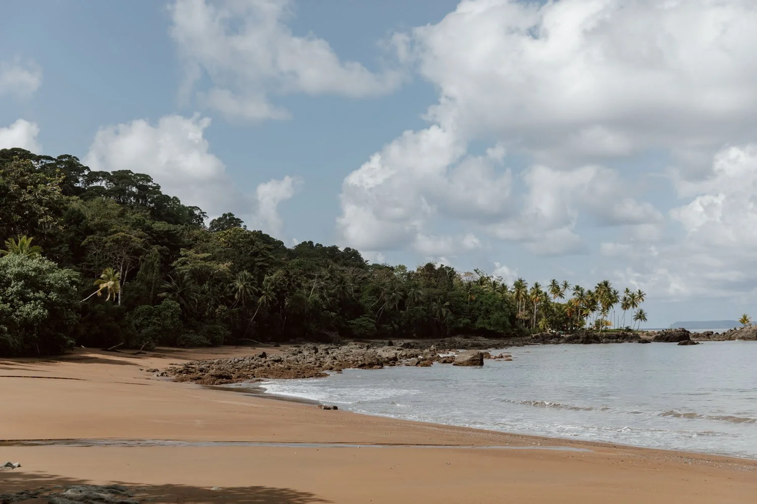 13 Wonderful Things To Do in Drake Bay | The Wild Side of Costa Rica ...