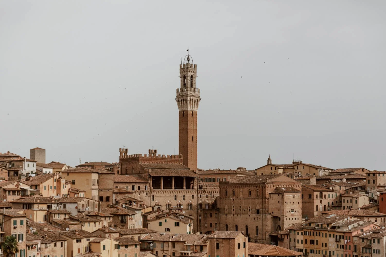 How To Travel From Florence To Siena | The Four Routes — ALONG DUSTY ROADS
