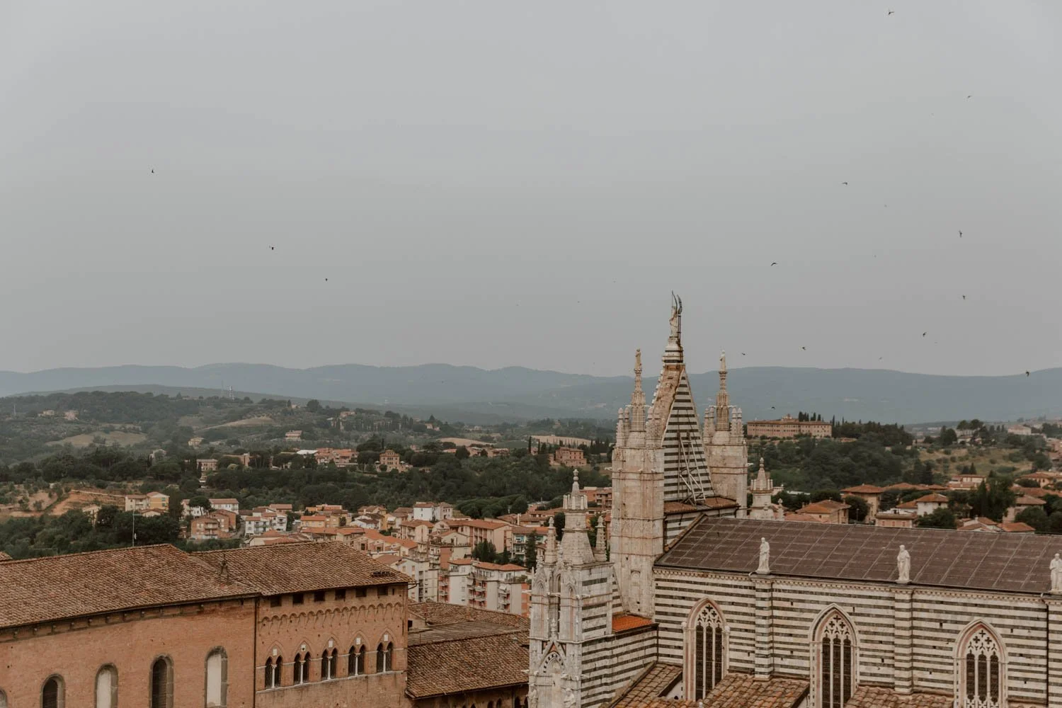 13 Wonderful Things To Do in Siena, Italy | The Medieval Masterpiece ...