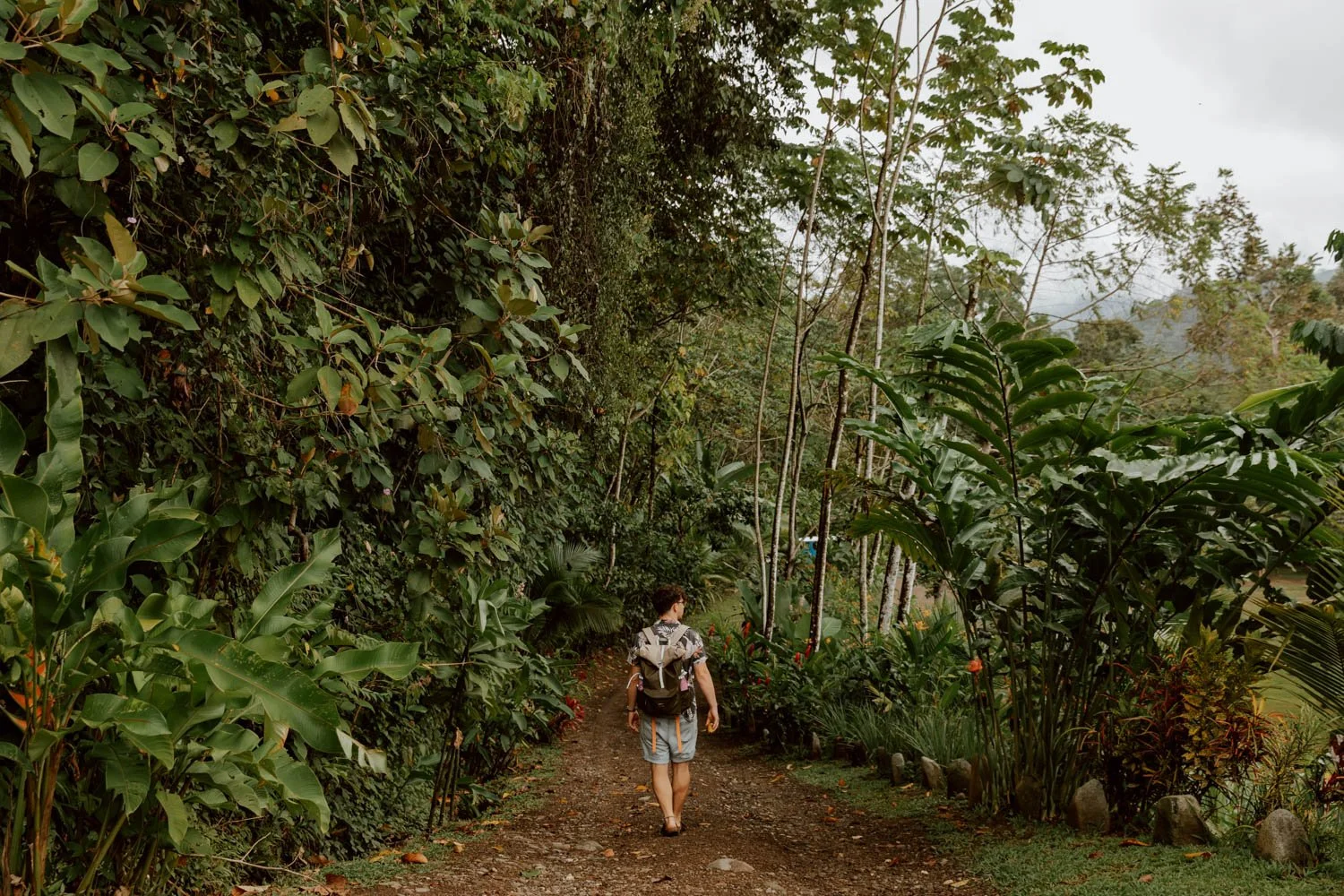 13 Wonderful Things To Do in Uvita, Costa Rica | Whales and Waterfalls ...