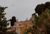 A Curated Guide to Menton, France | The Lemon Town — ALONG DUSTY ROADS