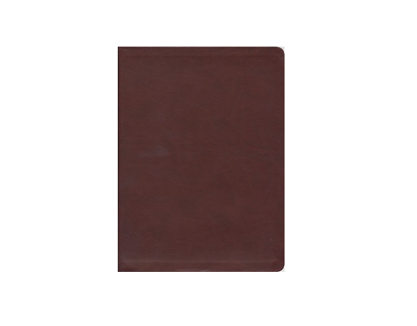 Large Print Bridge Books large-print-bridge-books