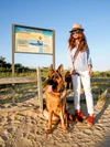 Cape Cod Travel Diary — Suzanne Spiegoski