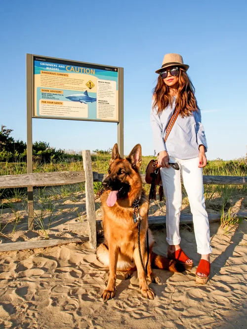 Cape Cod Travel Diary — Suzanne Spiegoski