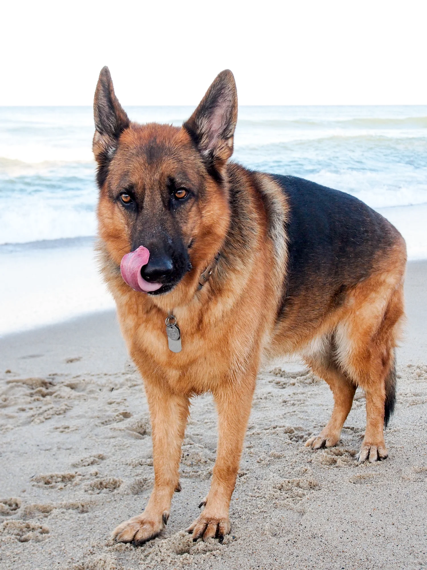 Cape Cod Travel Diary — Suzanne Spiegoski