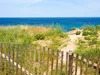 Cape Cod Travel Diary — Suzanne Spiegoski