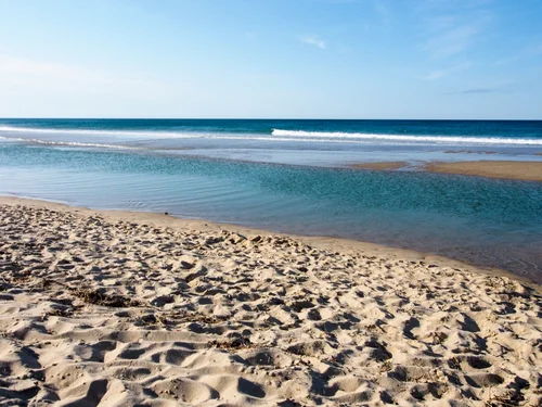 Cape Cod Travel Diary — Suzanne Spiegoski