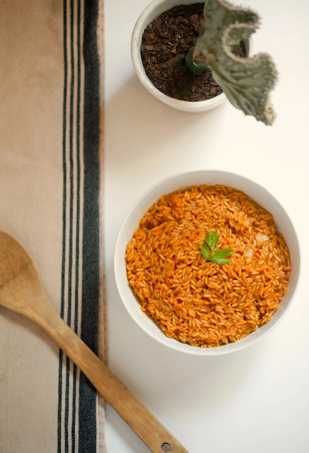 Kimchi Risotto — Suzanne Spiegoski