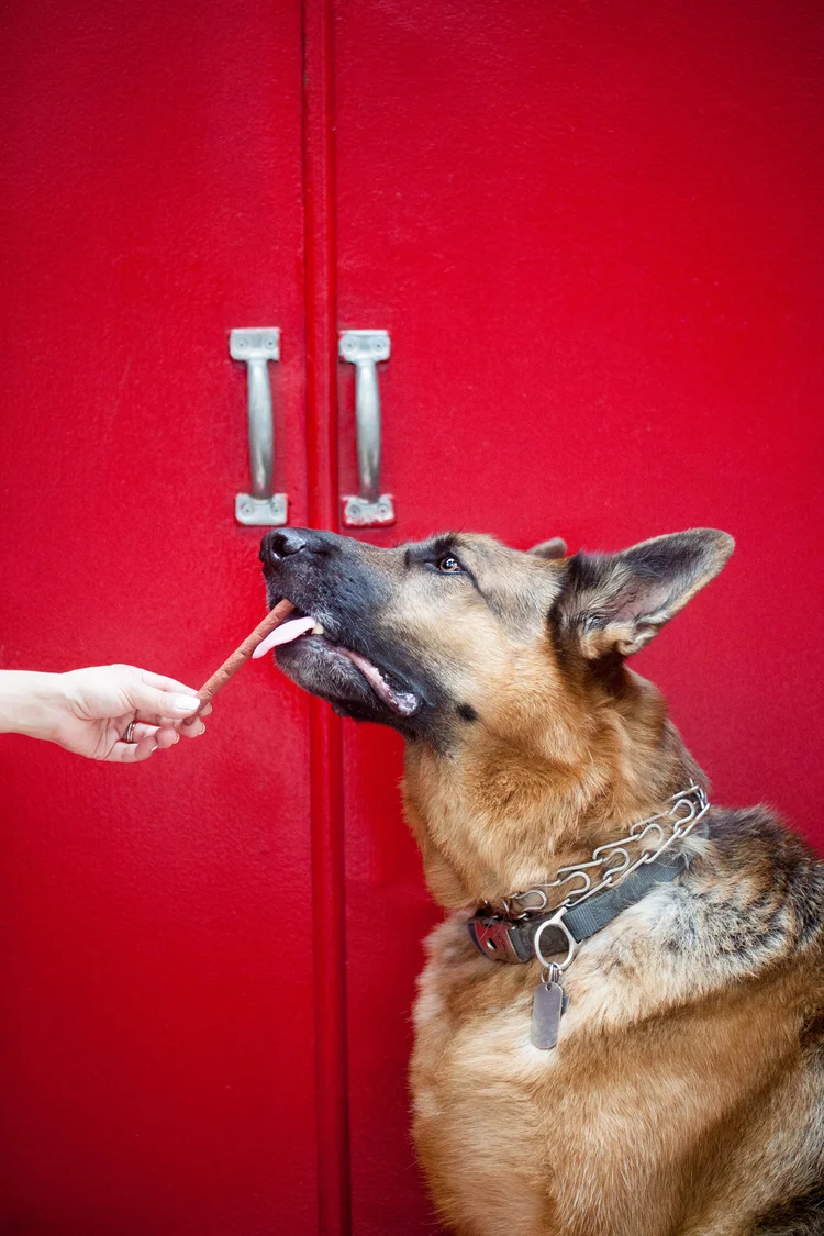 Pup-Peroni with MaQ-eroni — Suzanne Spiegoski