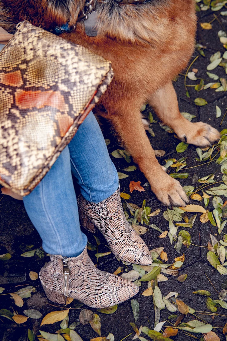 Must-Have: Snake Print Booties — Suzanne Spiegoski