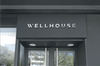 Brand Design for Wellhouse Collective: Crafting a Bold but Feminine ...